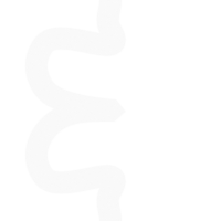 Vertical Cipher Script Visualizer